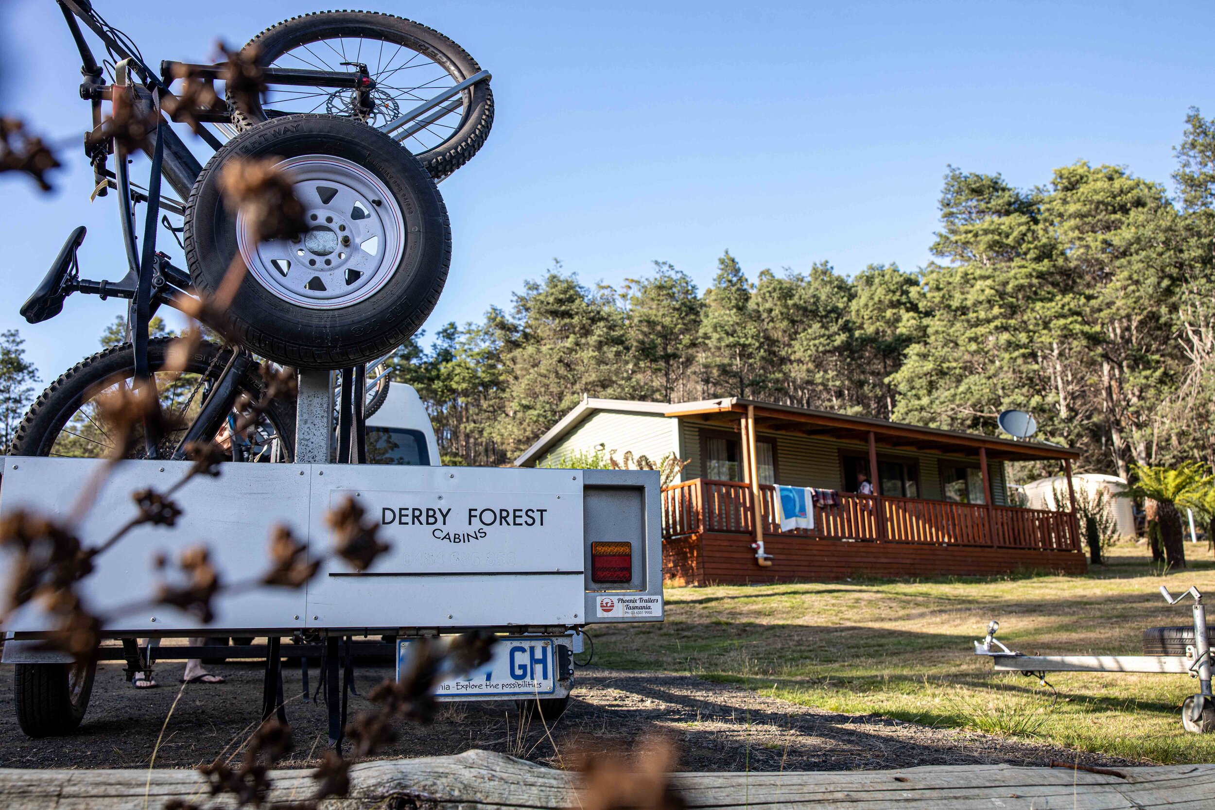Derby Forest Cabins at Bluederby
