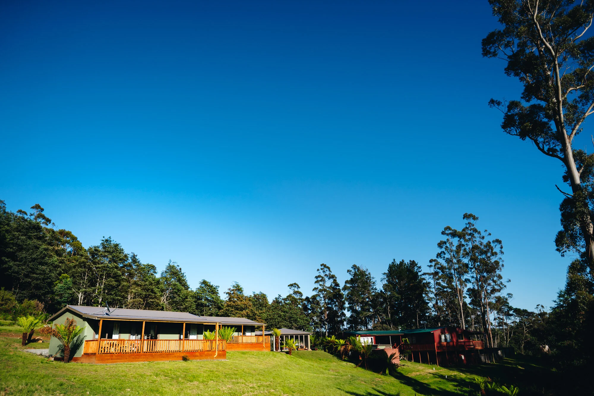 Derby Forest Cabins at Bluederby