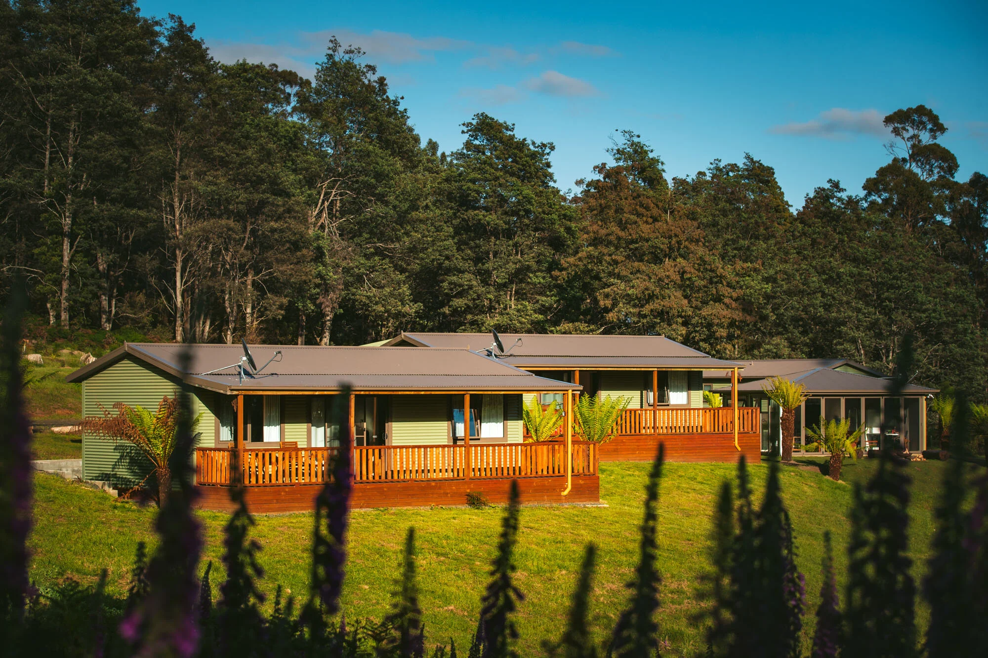Derby Forest Cabins at Bluederby