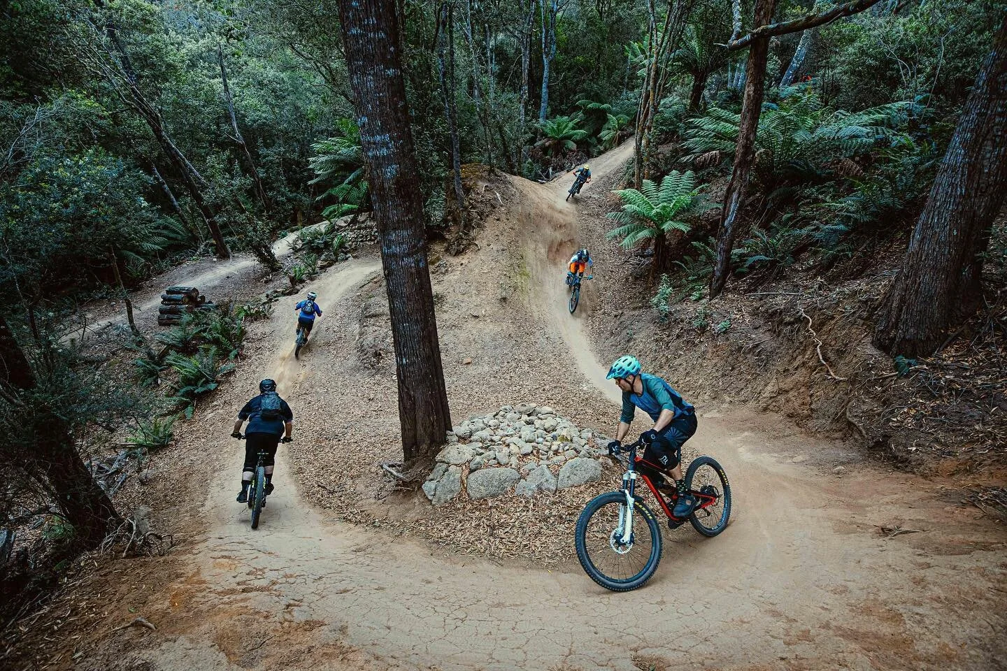 Derby Forest Cabins at Bluederby