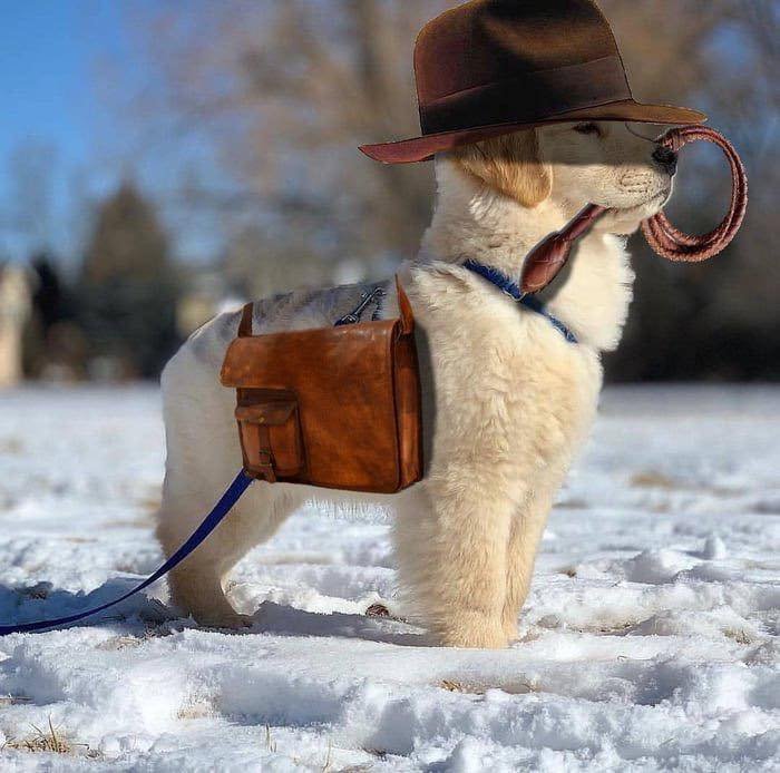 Arizona Treasure Hunt