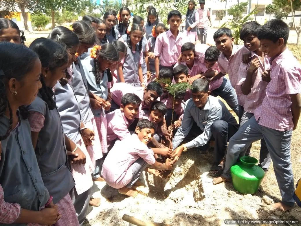 Salt of the Earth — Plant trees in India