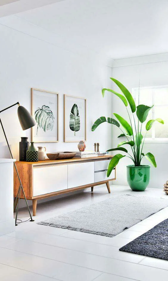How To Display House Plants — LIV for Interiors