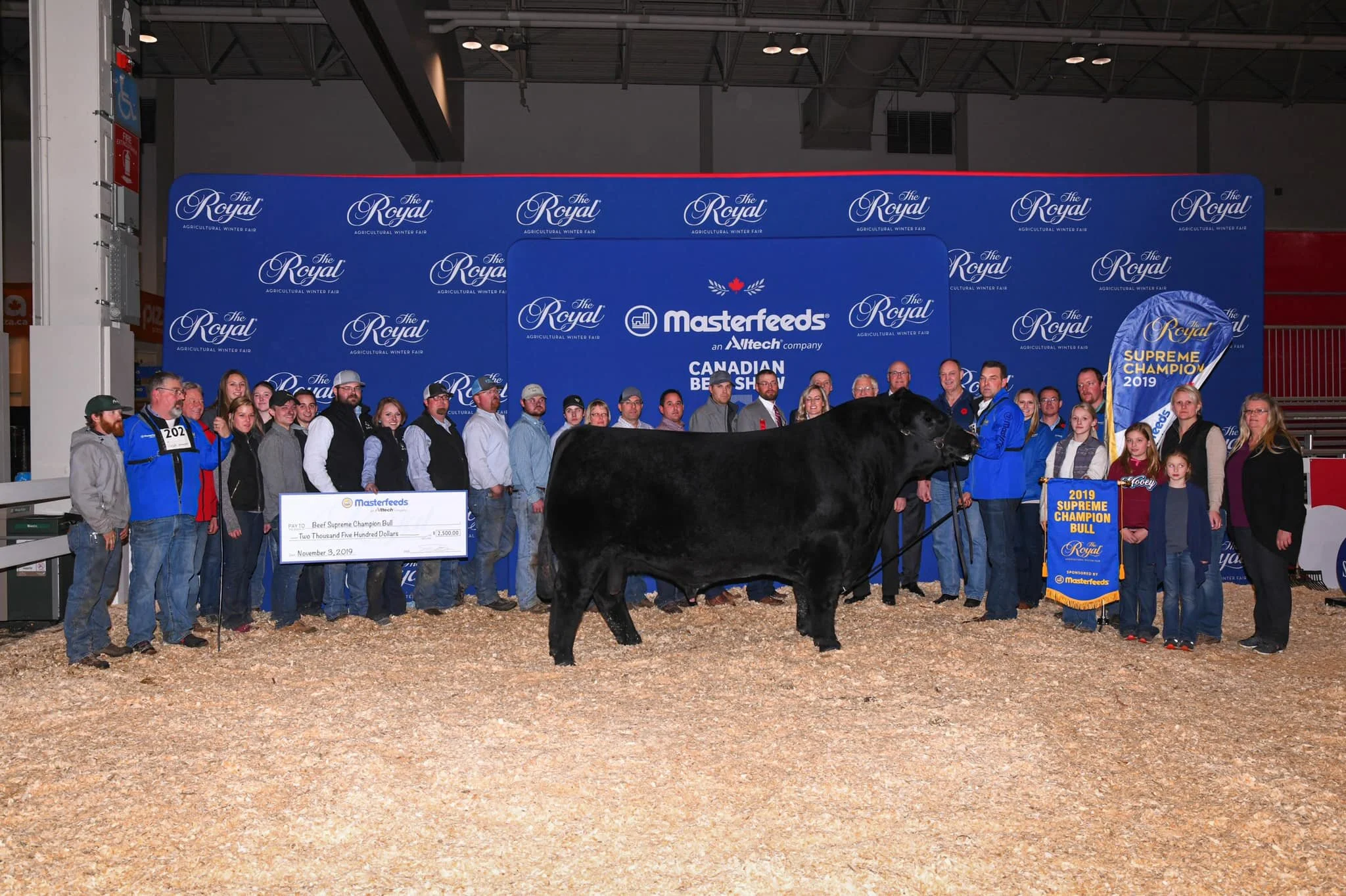 Beef — Nature's Wave