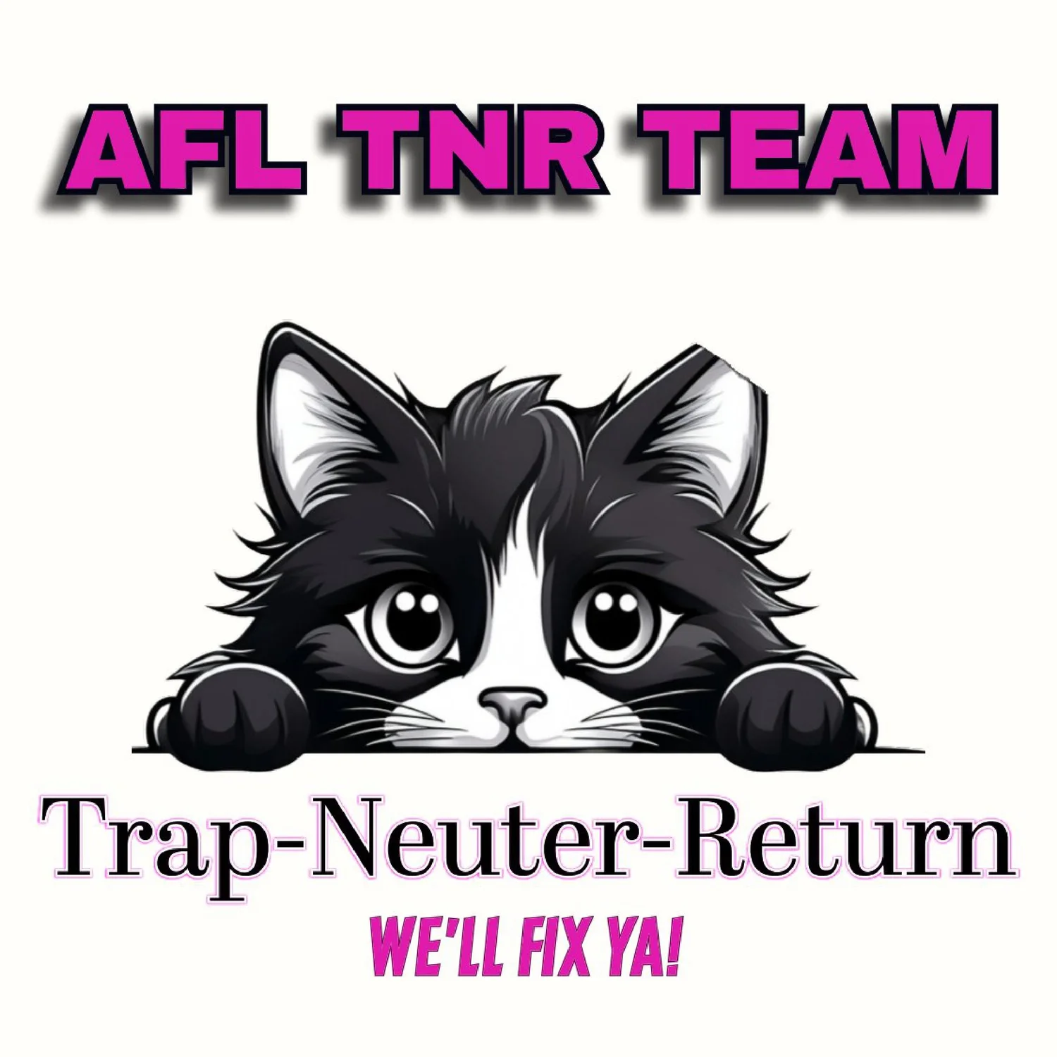 Trap-Neuter-Return — Animal Friends of Lansdowne