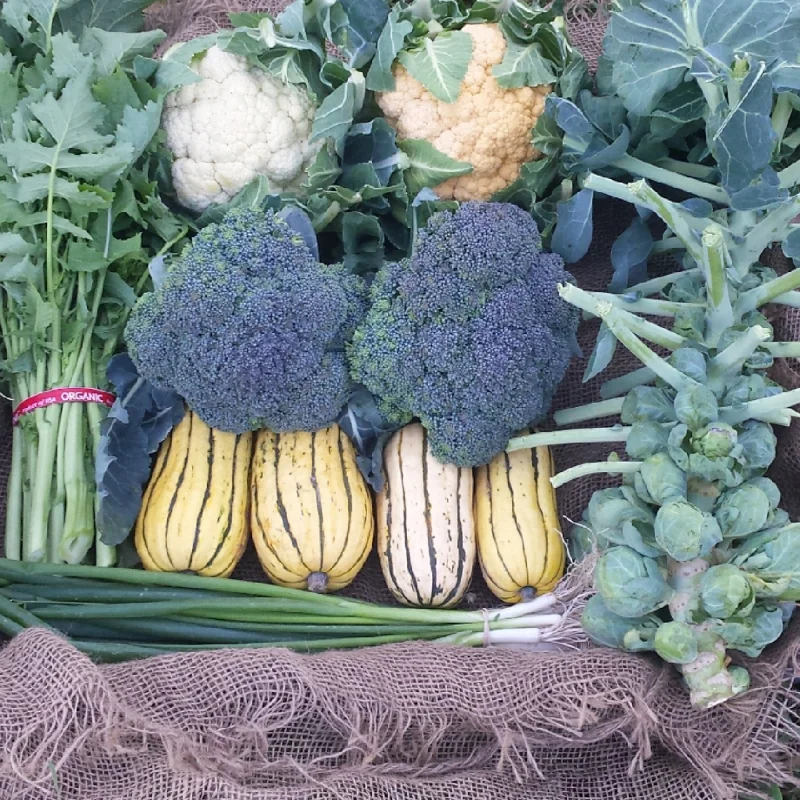 FALL CSA — Natural Earth Organic Farms