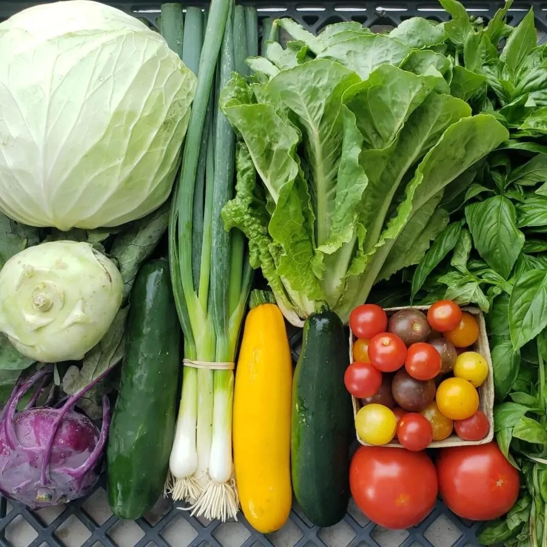 Natural Earth Organic Farms