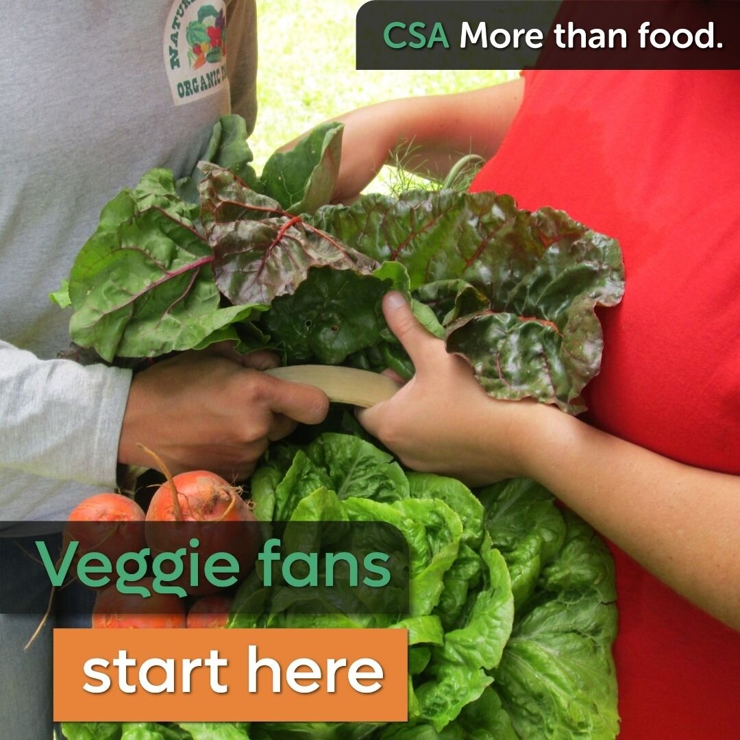 What is a CSA? — Natural Earth Organic Farms