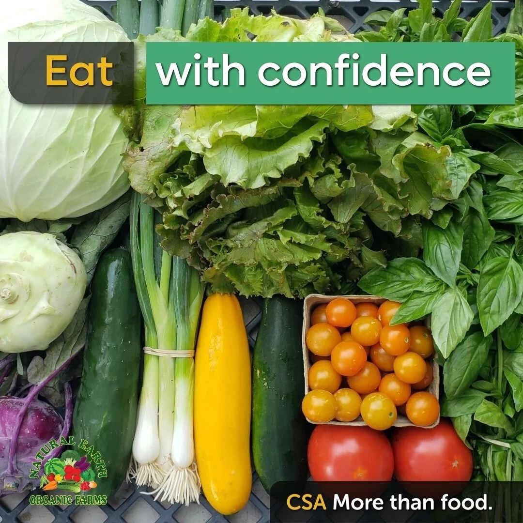 What is a CSA? — Natural Earth Organic Farms