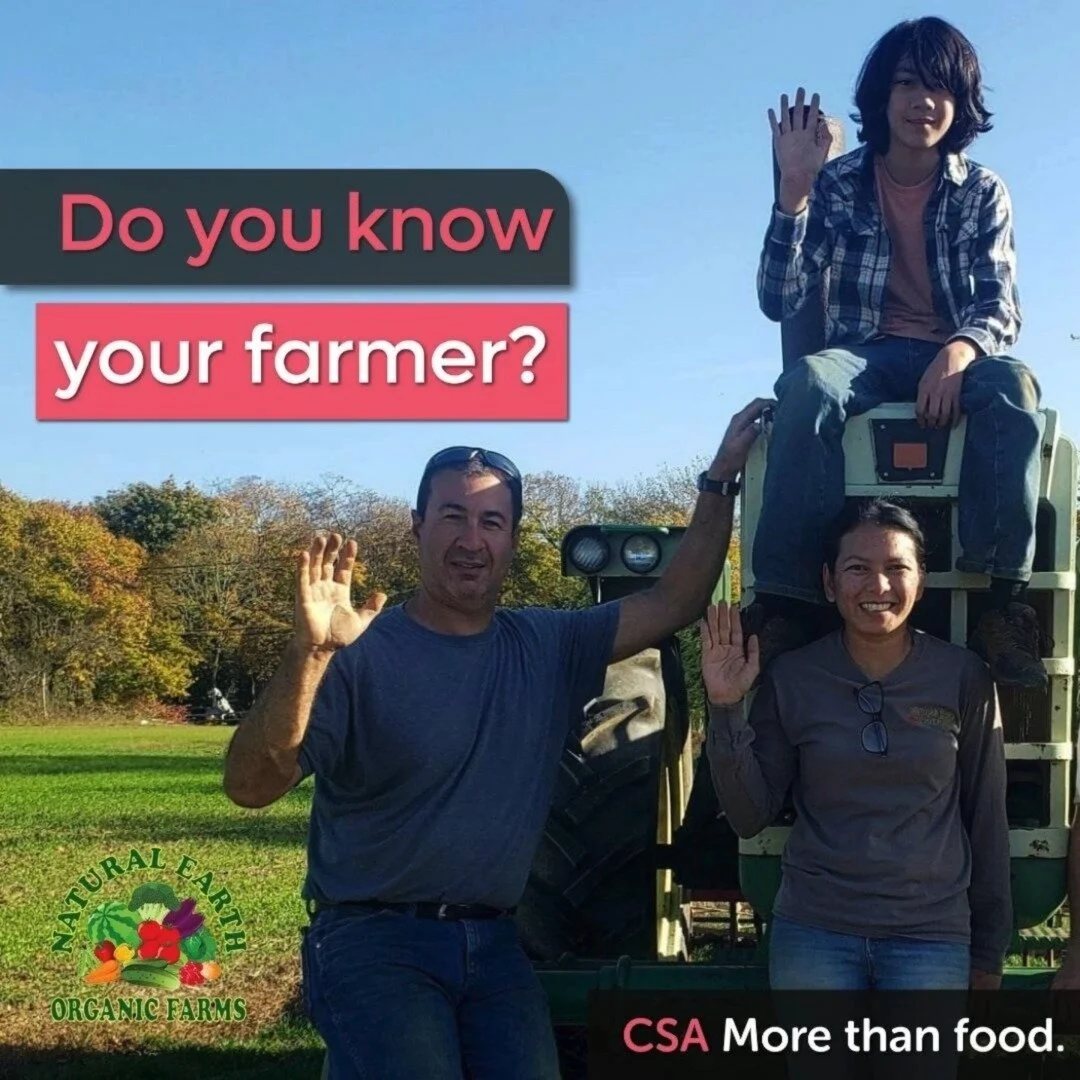 Sample CSA Shares — Natural Earth Organic Farms