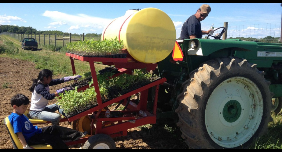 Our Farm — Natural Earth Organic Farms