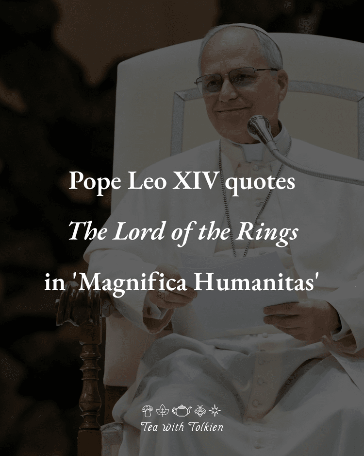 Pope Leo XIV quotes The Lord of the Rings in 'Magnifica Humanitas ...