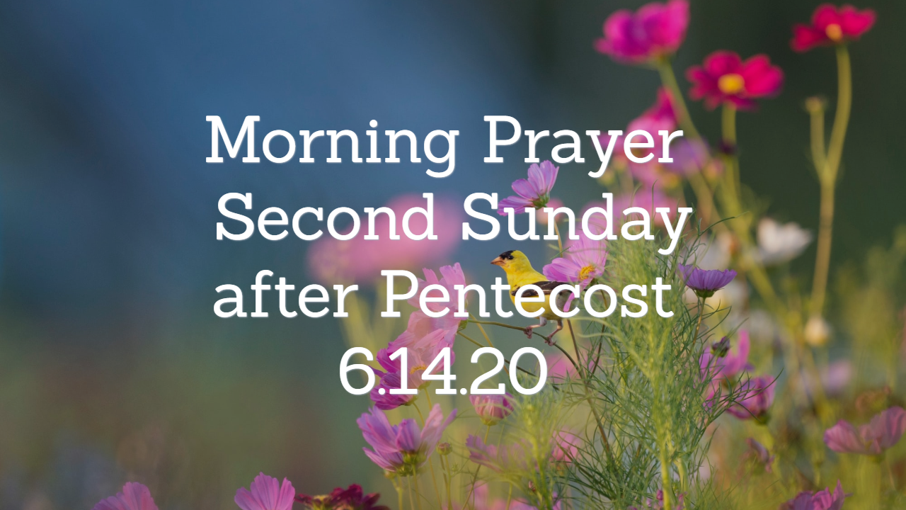 1st Saturday After Trinity Sunday 2nd Week after Pentecost — The ...