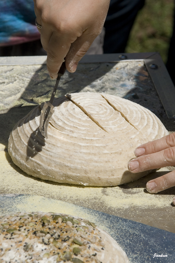 Publican Quality Bread