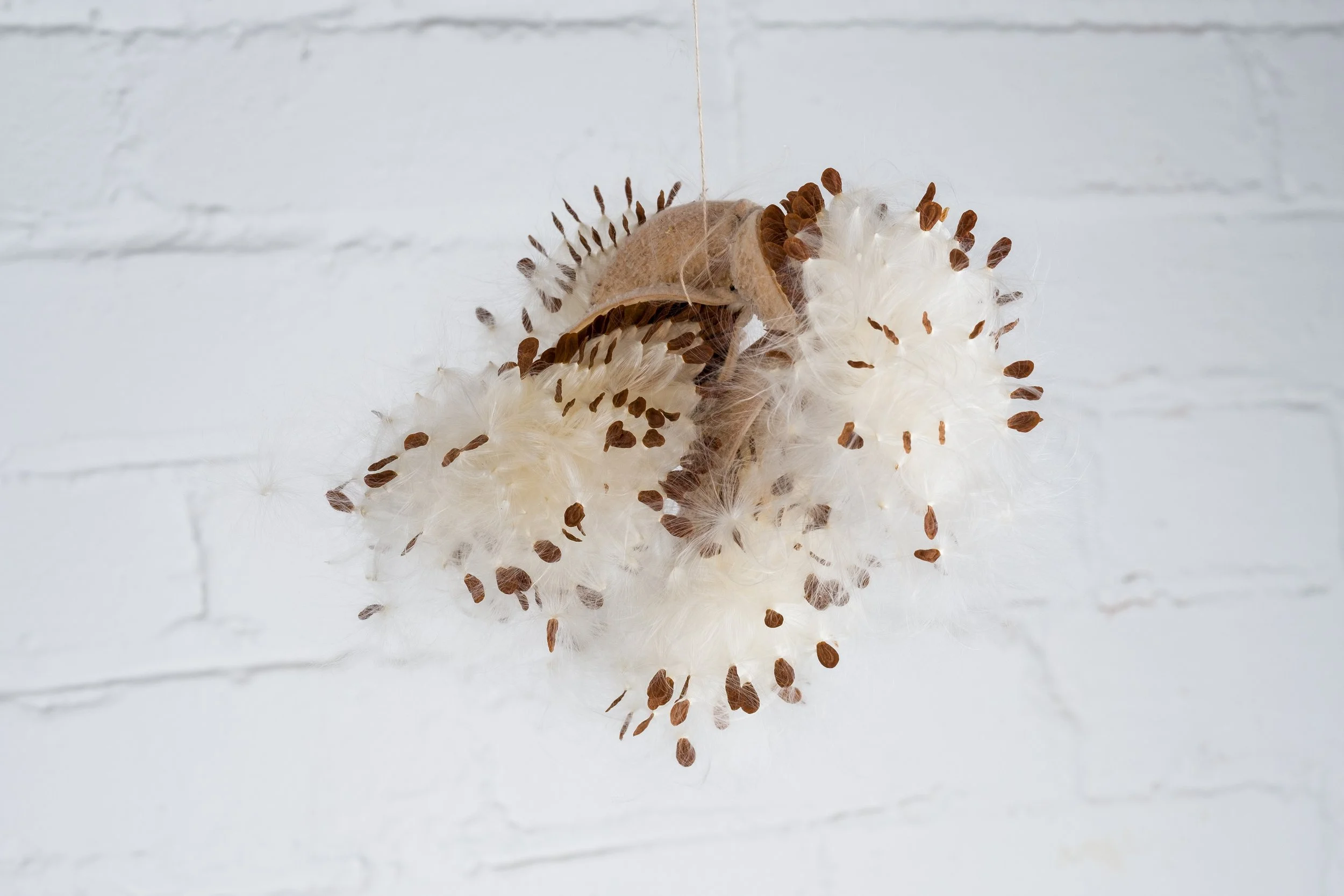 events — emma percy