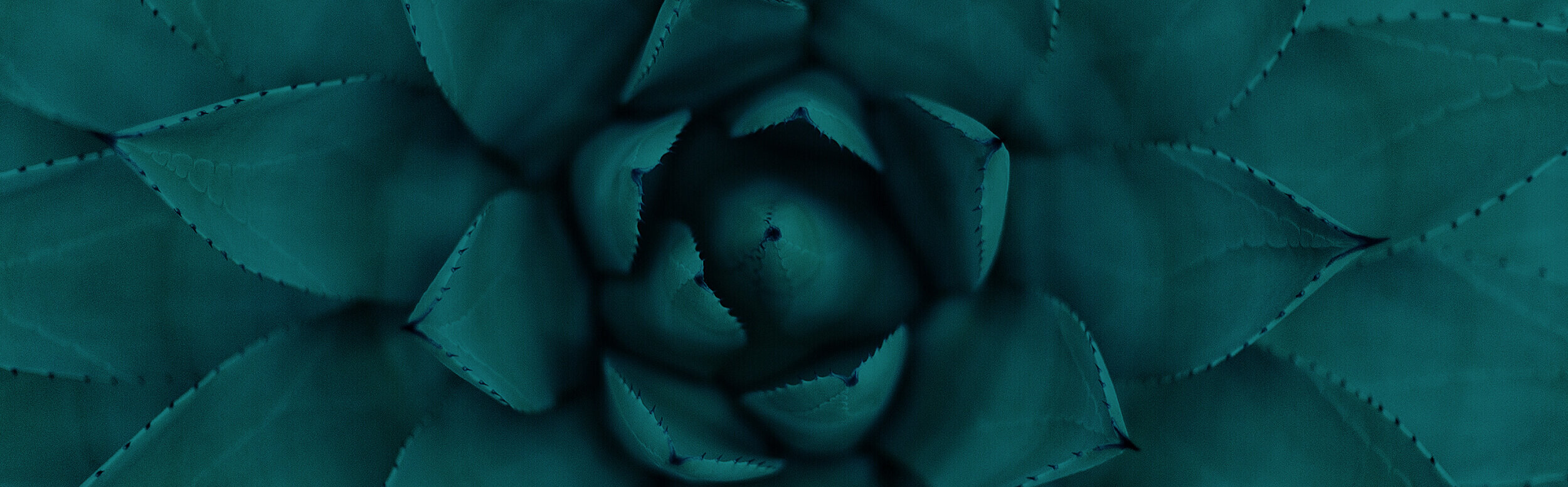 Rise Therapy Center, LLC