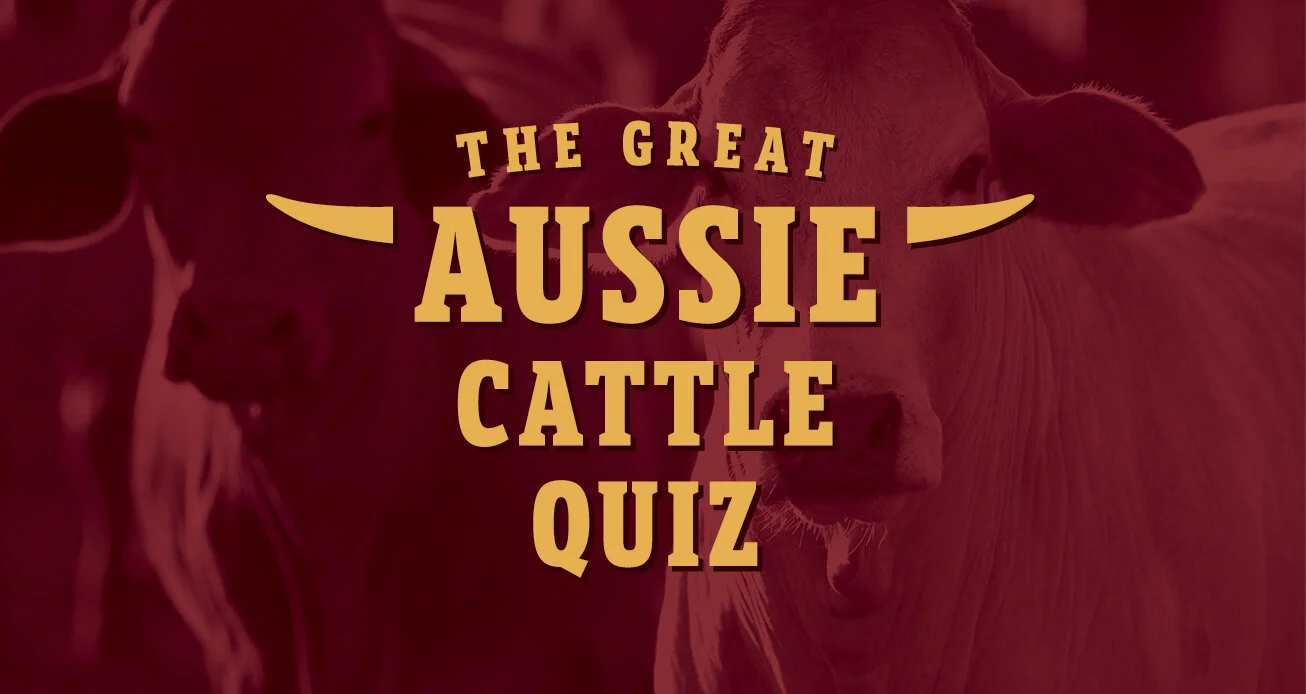 Cow Logo Quiz