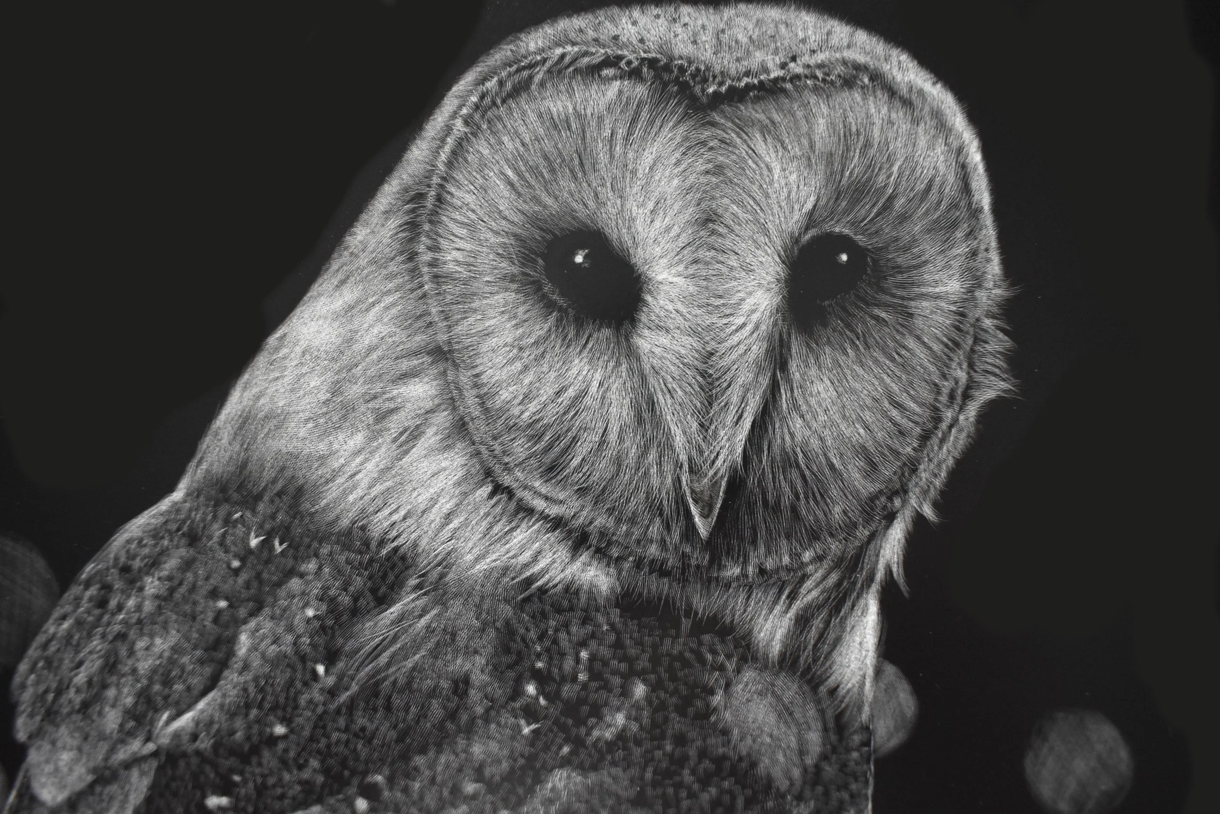 Shop Originals — Made by Bee Jay Fine Art