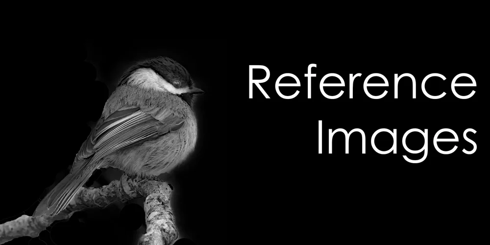 Reference Images — Made by Bee Jay Fine Art