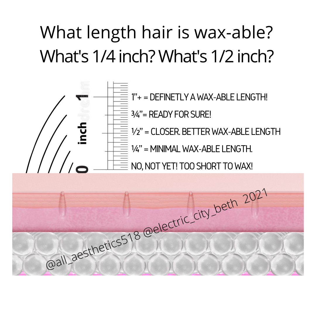 Must Read Before Your Wax All In Aesthetics Studio LLC must-read-before-your-wax-all-in-aesthetics-studio-llc