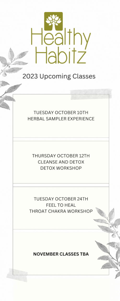 Classes — Healthy Habitz