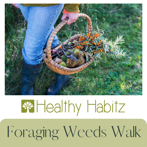 Classes — Healthy Habitz