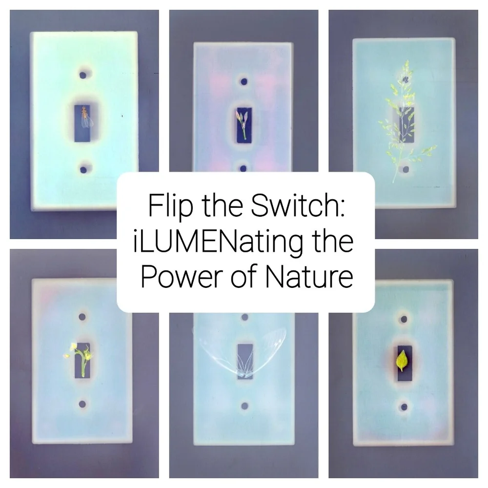 Lumen Prints — Natasha Sanchez