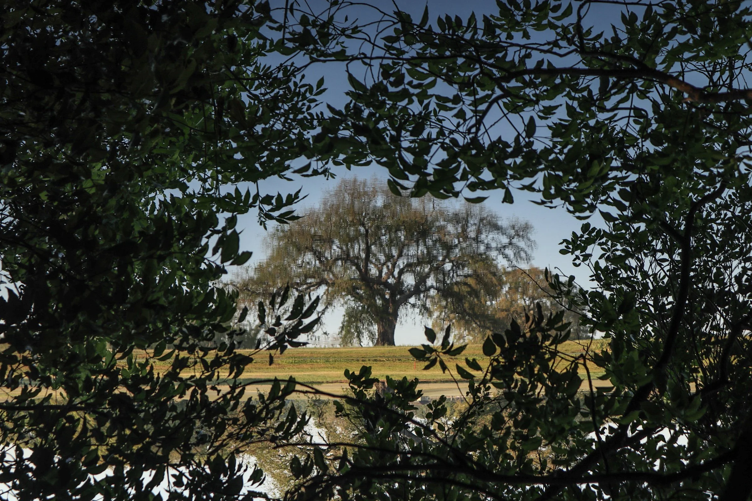 Photographic Art — Natasha Sanchez