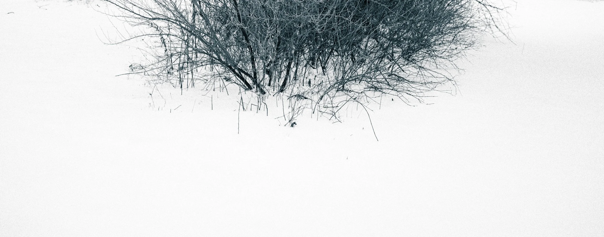 Caspar David Friedrich — Steven Holmes Gallery