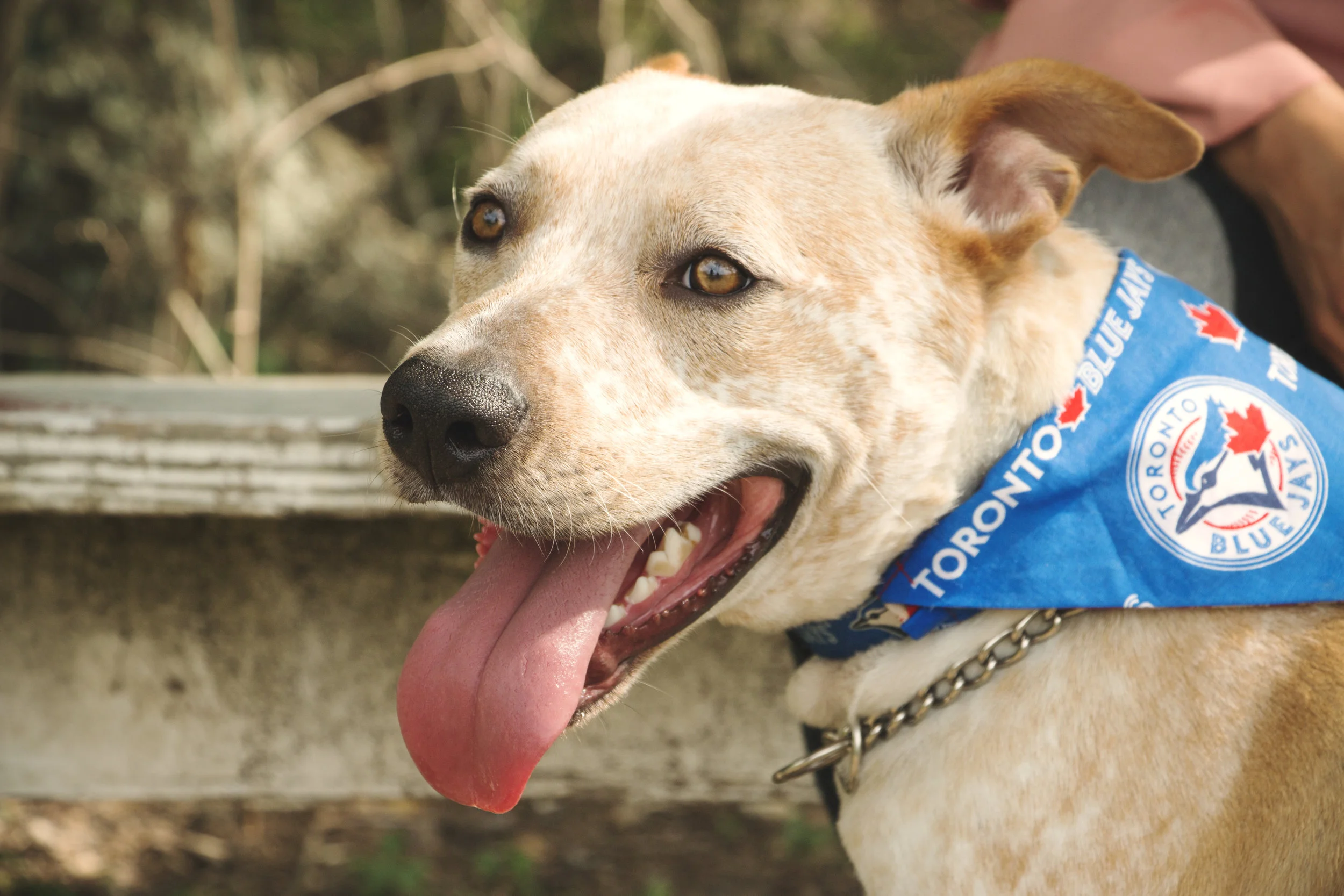 Andrea Peterson Photography