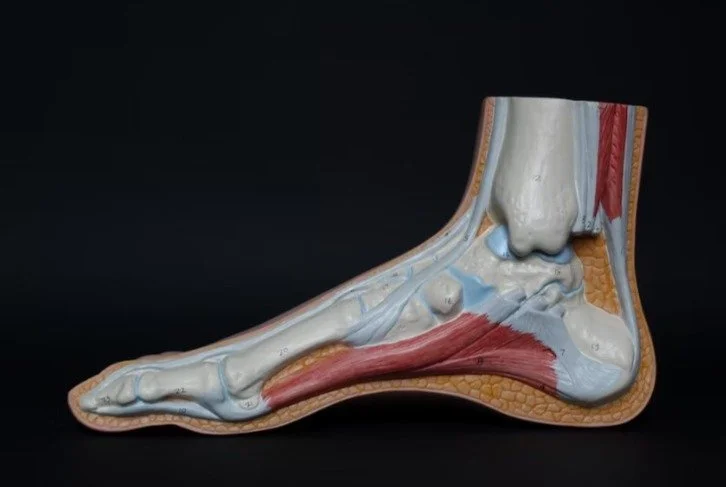 These 6 Signs Are Telling You to See an Orthopaedic Surgeon Immediately