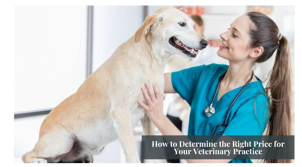 How to Determine the Right Price for Your Veterinary Practice