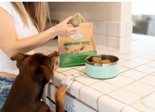 Top 5 Organic Dog Food Brands Focused on Long-Term Canine Health in 2026