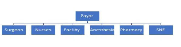 Bundled Payment Models: How they are Driving Value-Based Care and the ...