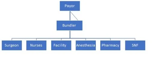 Bundled Payment Models: How they are Driving Value-Based Care and the ...