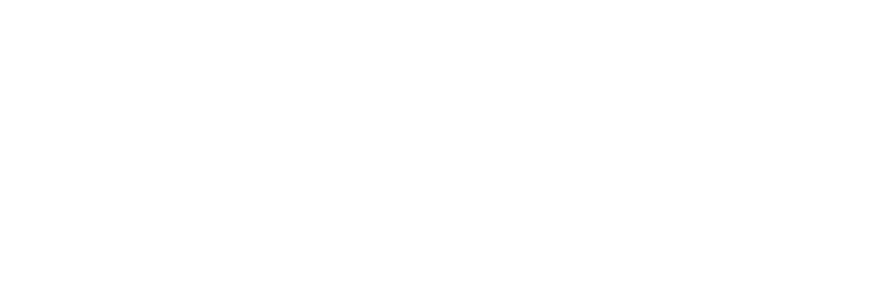 Emphasis Ventures (EMVC) - Fintech Venture Capital in Emerging Markets