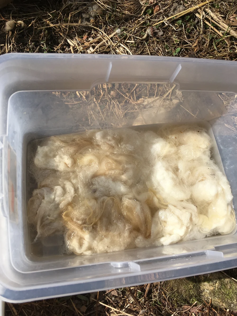 How to skirt and Clean a Fleece — Mother of Purl