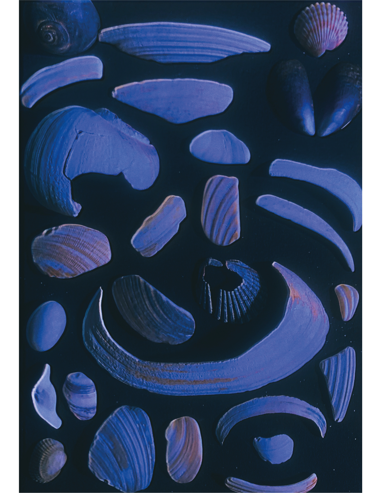 The Slug Gaze: Discourse, Discipline, and the Live Slug Reaction Meme ...