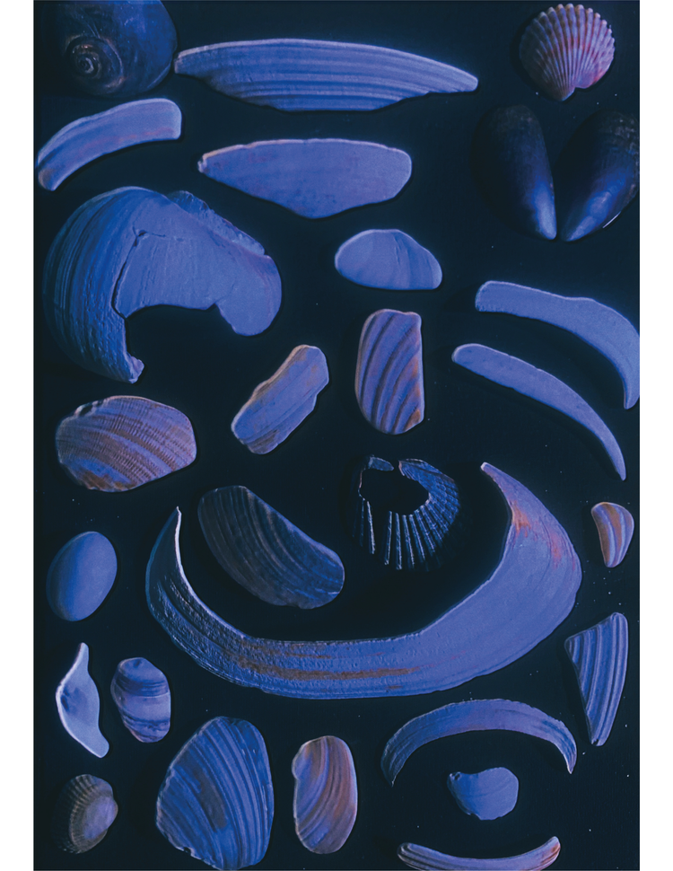 The Slug Gaze: Discourse, Discipline, and the Live Slug Reaction Meme ...