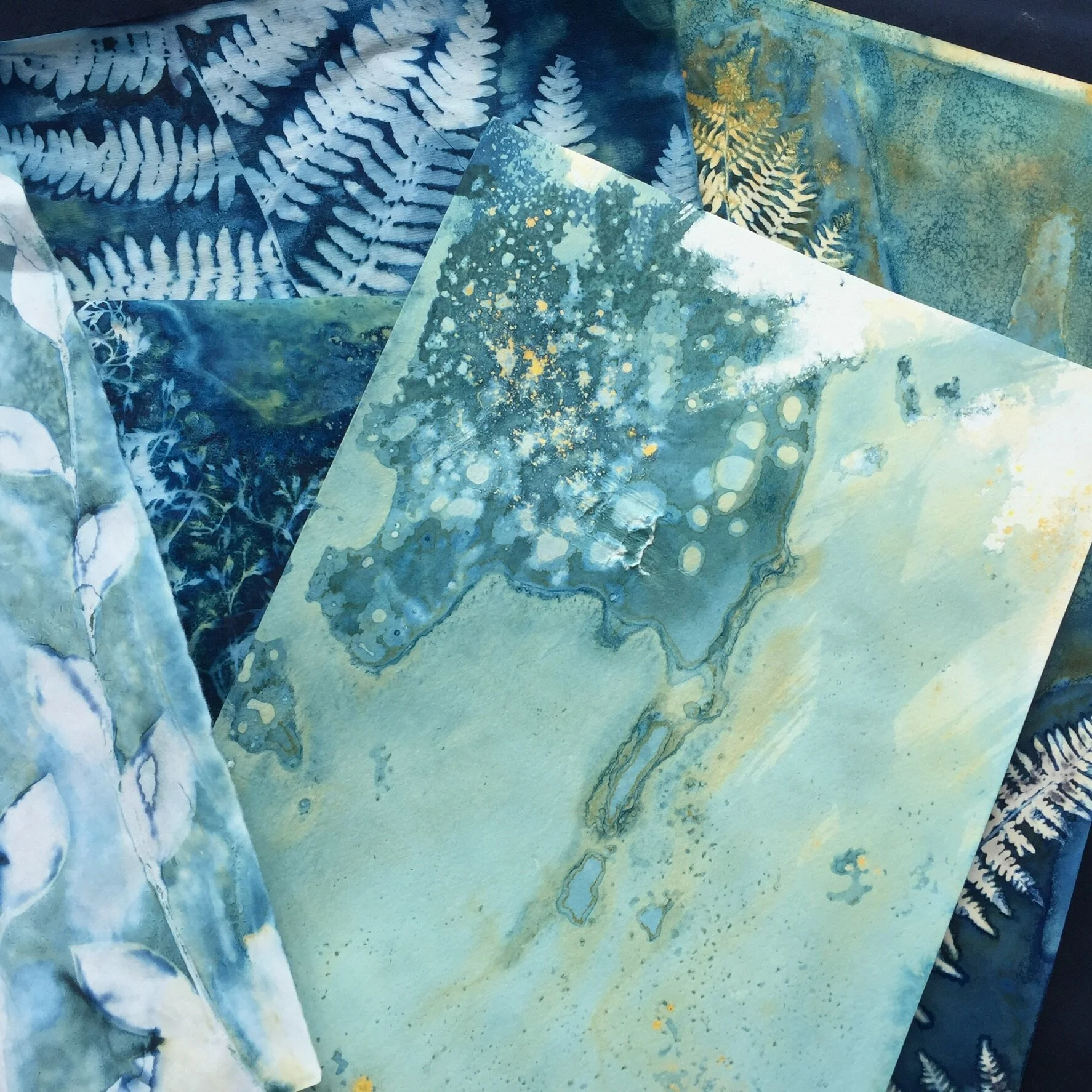 Wet Cyanotype: Beyond the Basics Video — linda clark johnson | artist