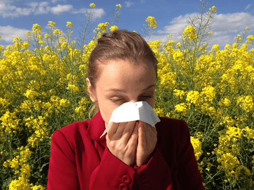Eye Allergy: Causes, Symptoms, Treatments, and Prevention