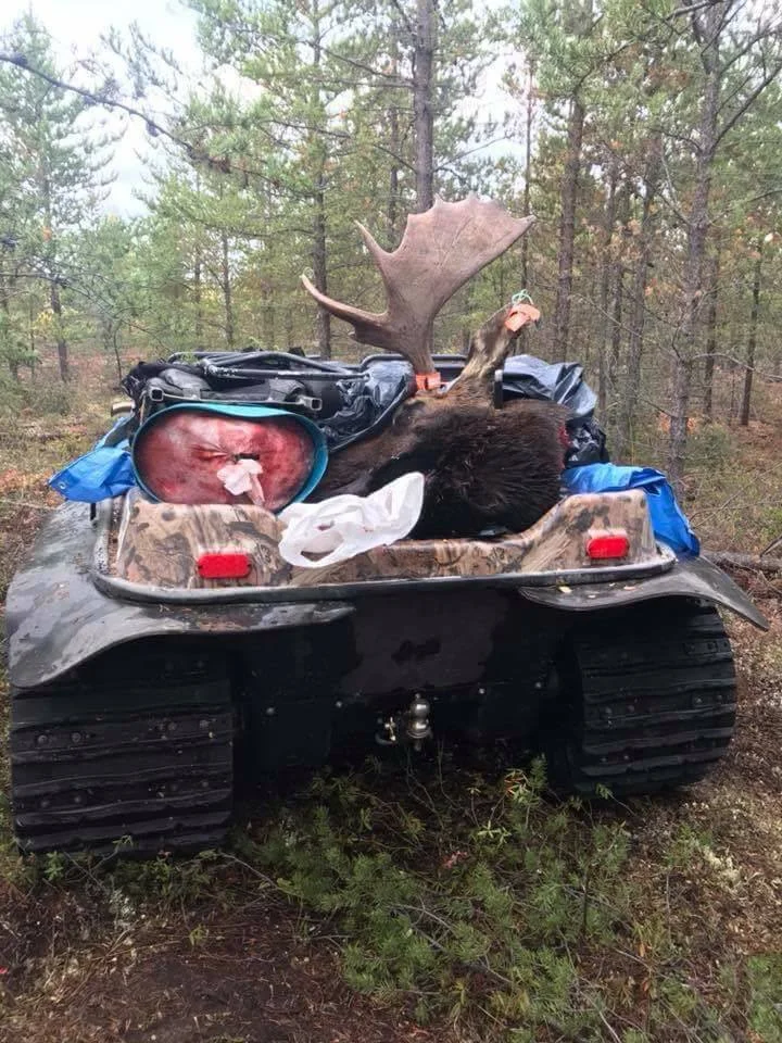 Saskatchewan Moose Hunting