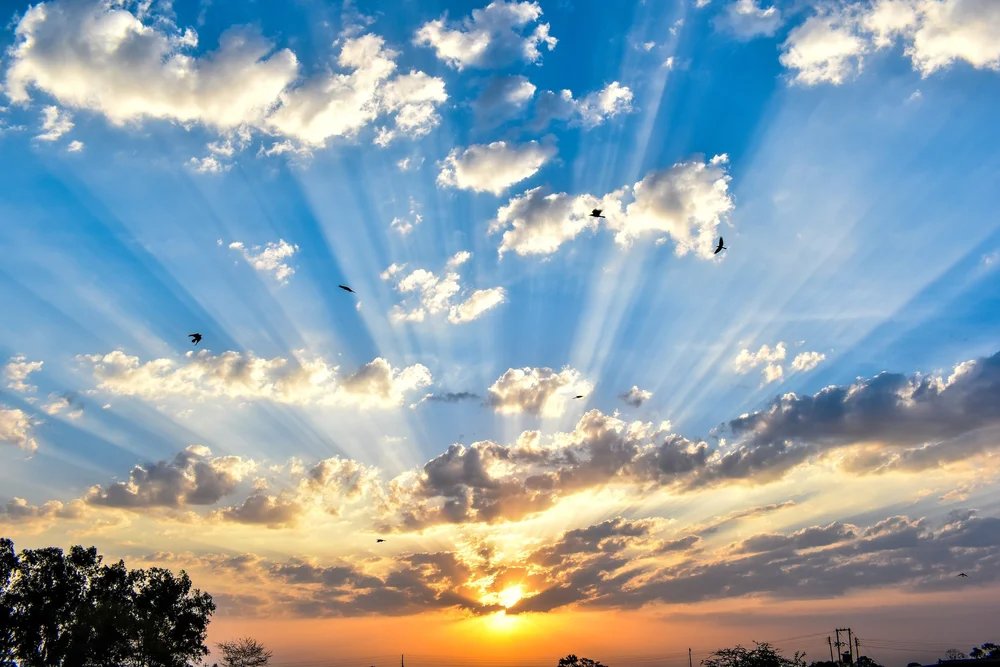 What is Self-Energy in Internal Family Systems Therapy?