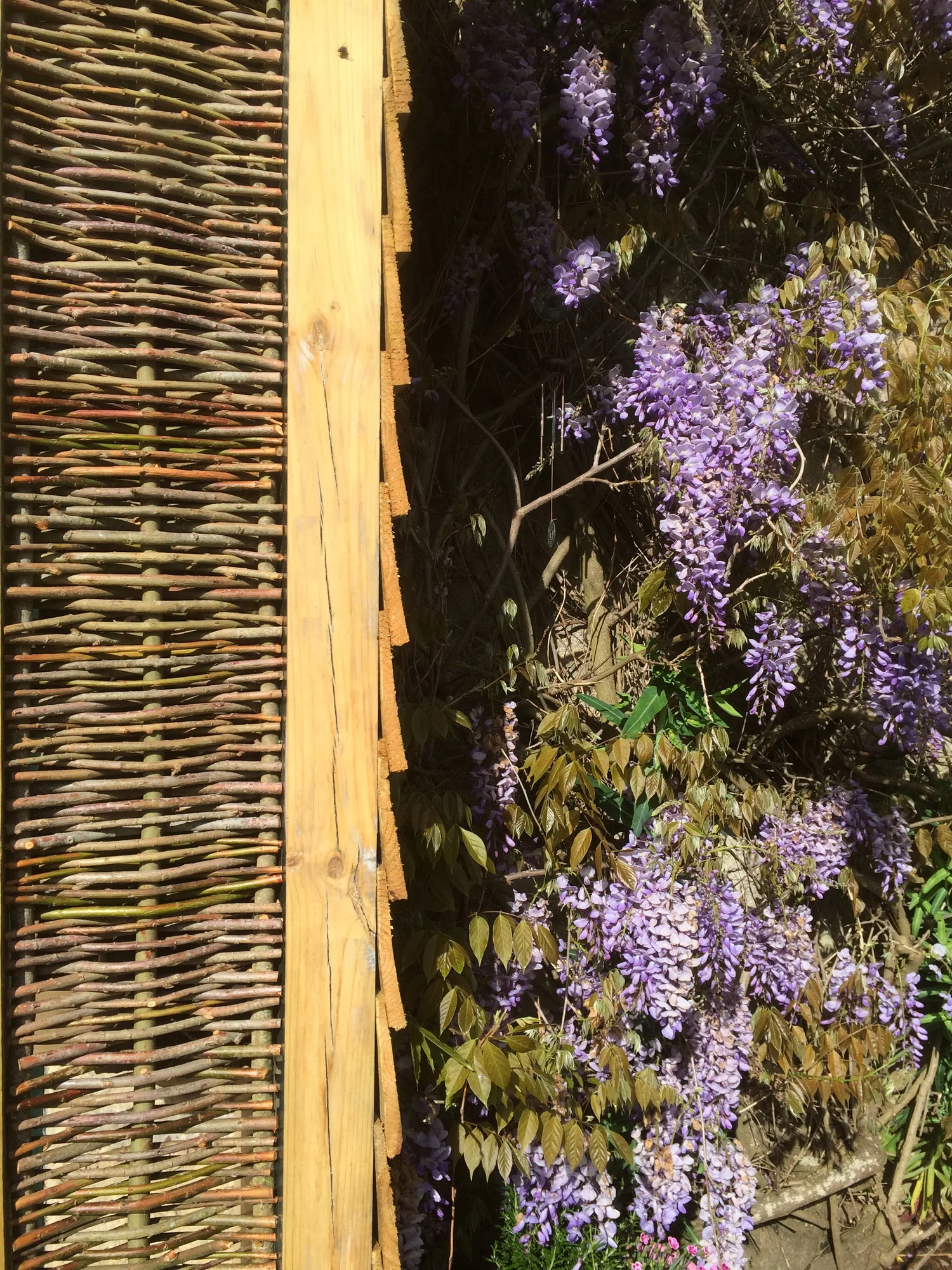 Woven Willow Screens - WonderWood
