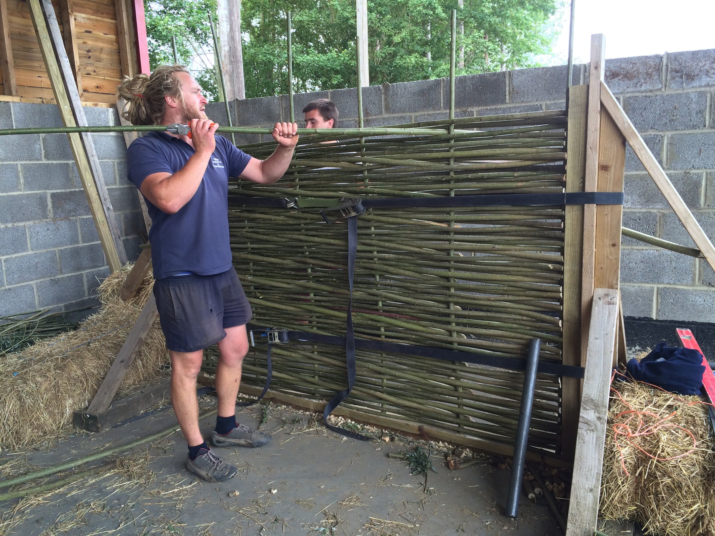 Woven Willow Screens - WonderWood