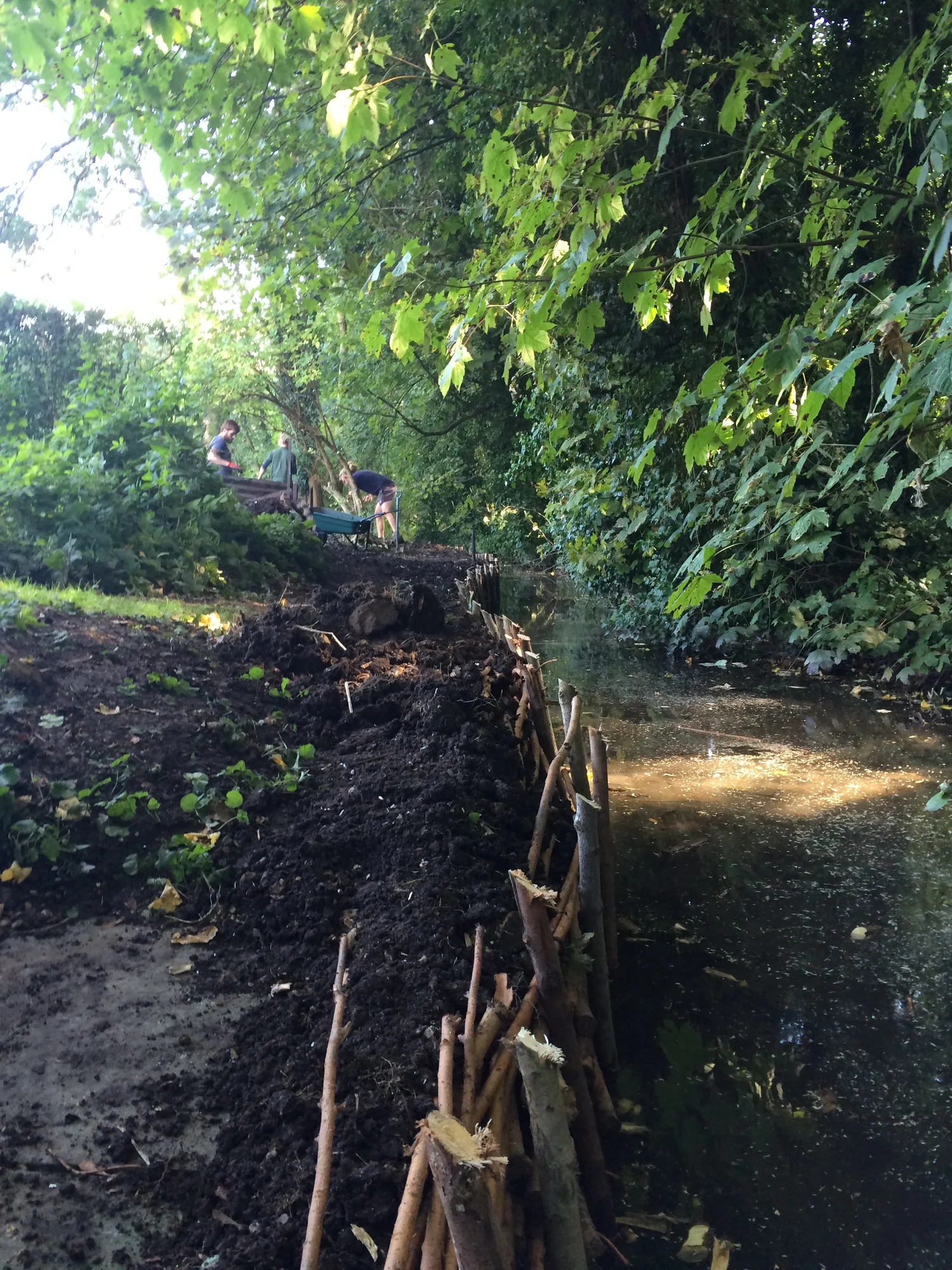 Riverbank Restoration - WonderWood