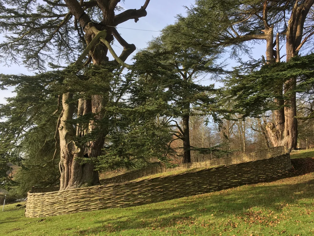 Portfolio and gallery of woven willow work - WonderWood