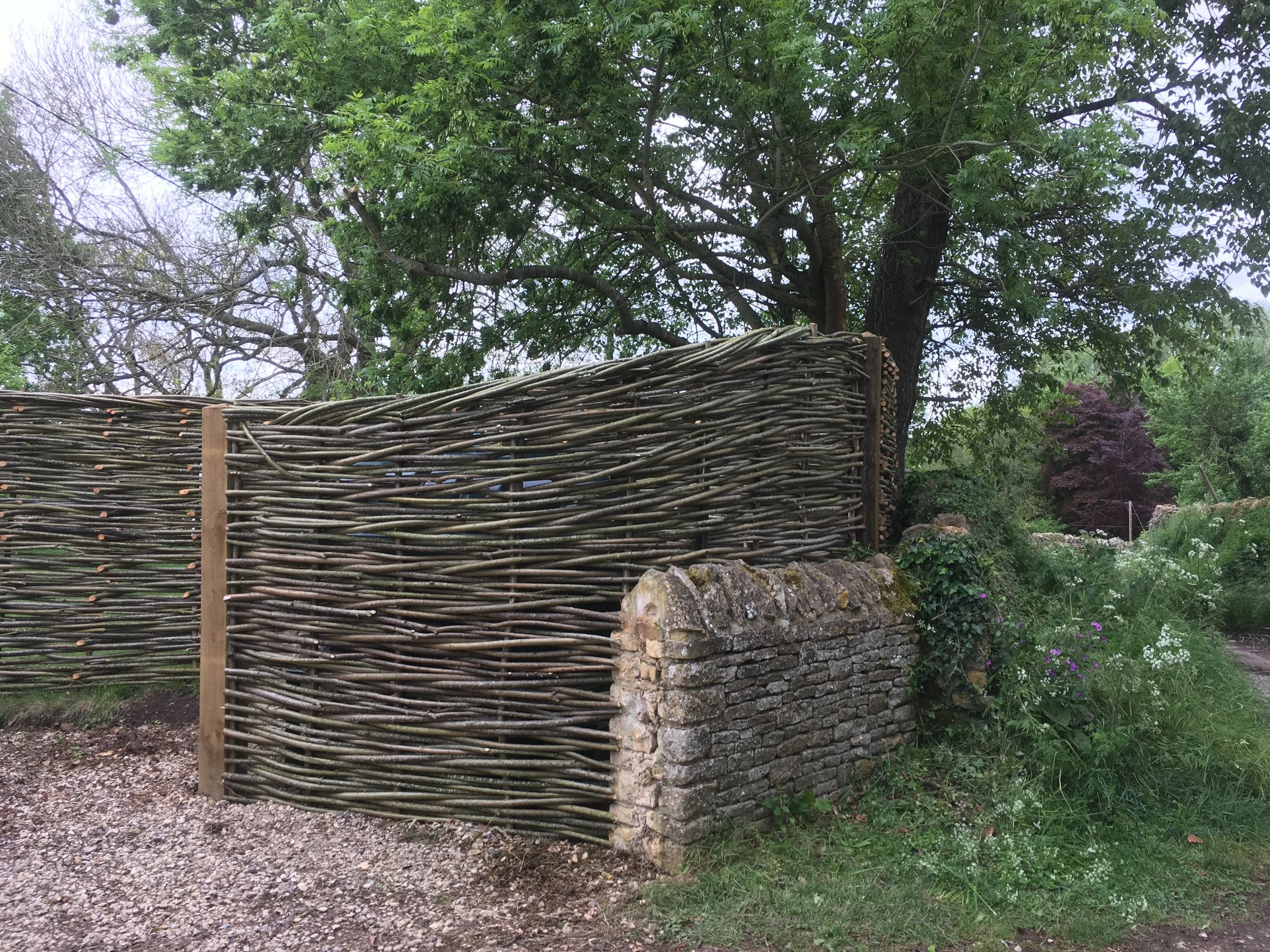 Woven Willow Screens - WonderWood
