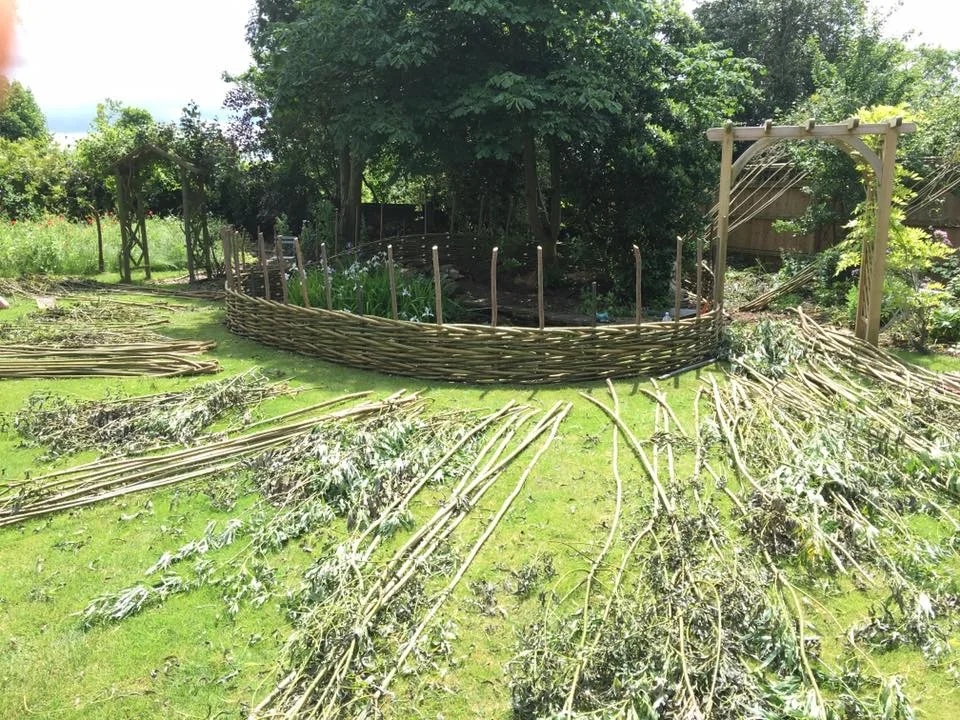 Continuously Woven Willow Fences - WonderWood