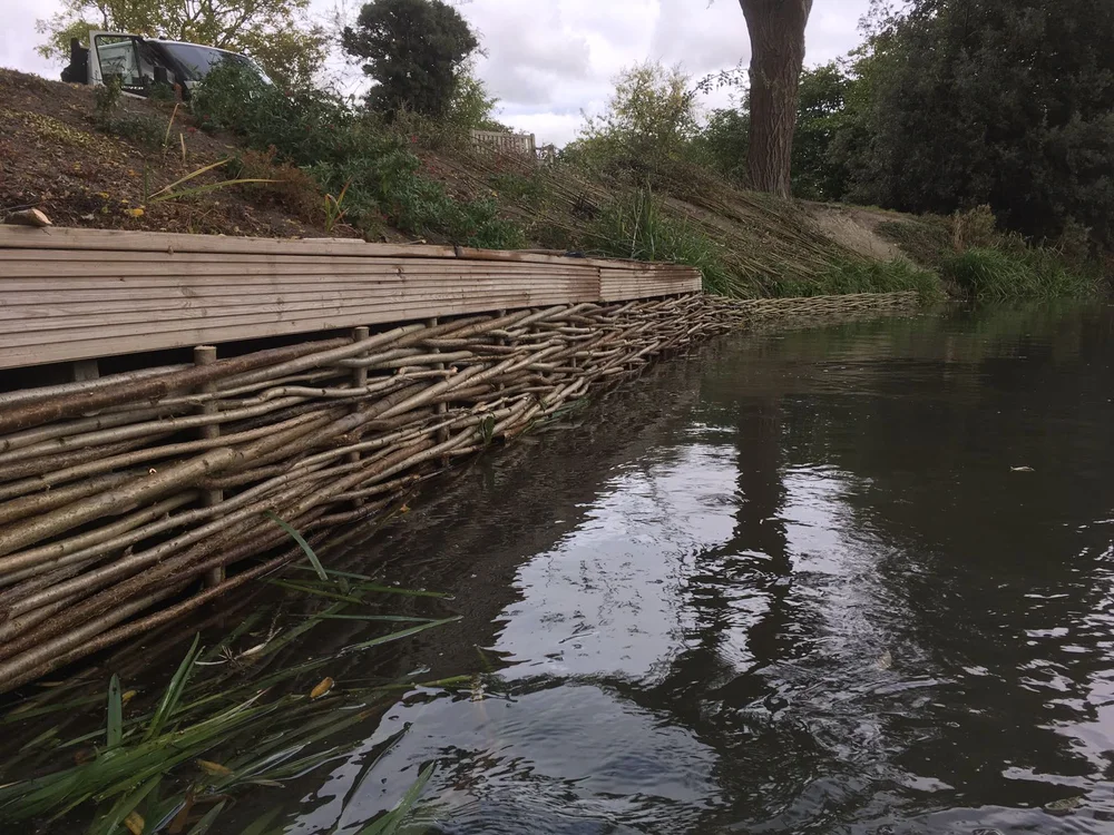 Riverbank Restoration - WonderWood